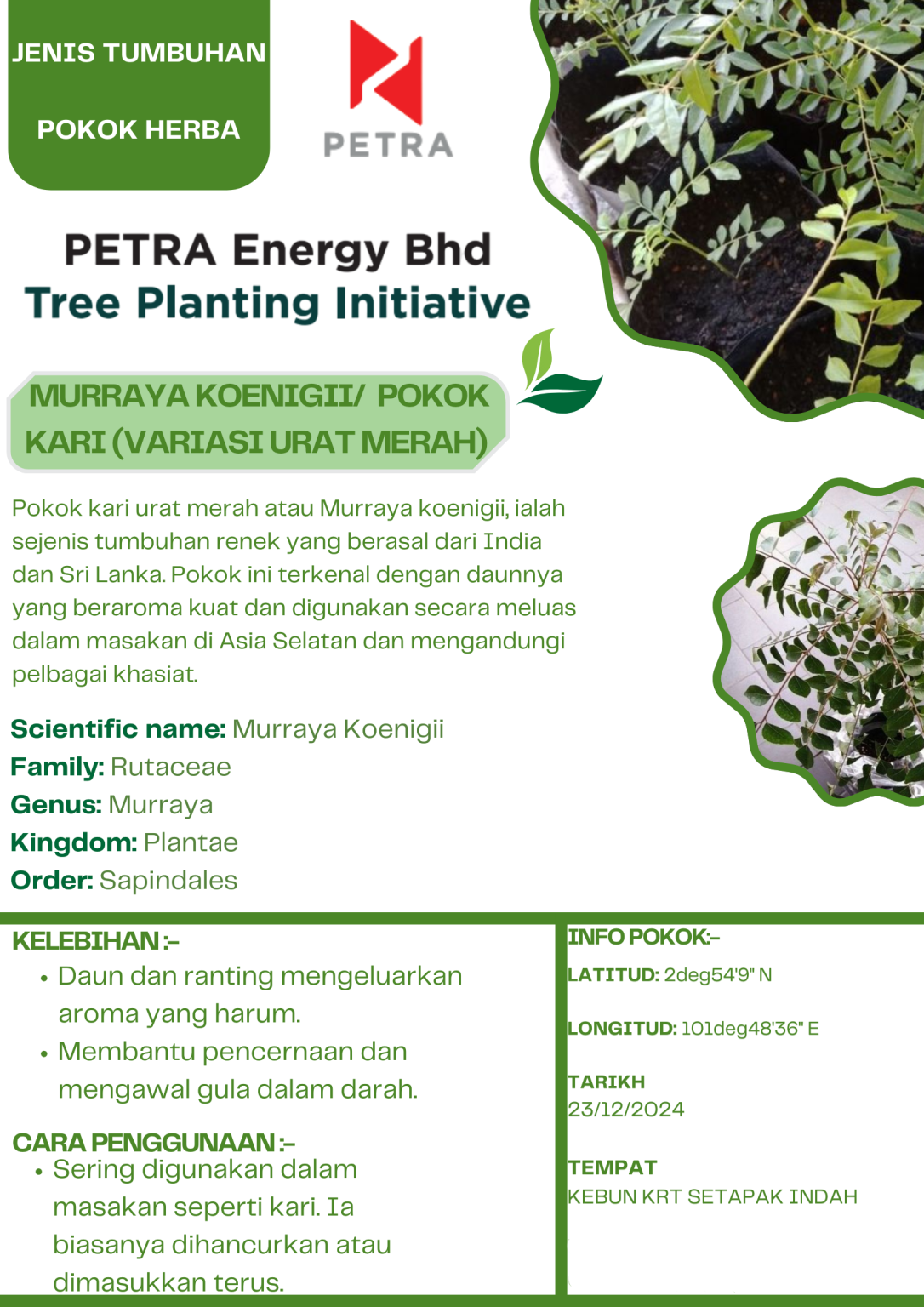 Petra Tree Planting - MY Clean Beach